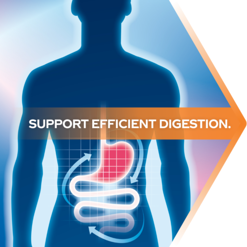 BioMatrix Digestive Enzyme Supplement