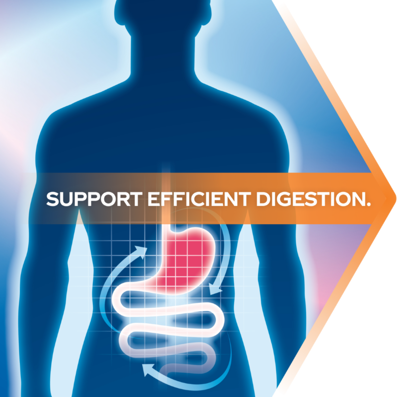 BioMatrix Digestive Enzyme Supplement