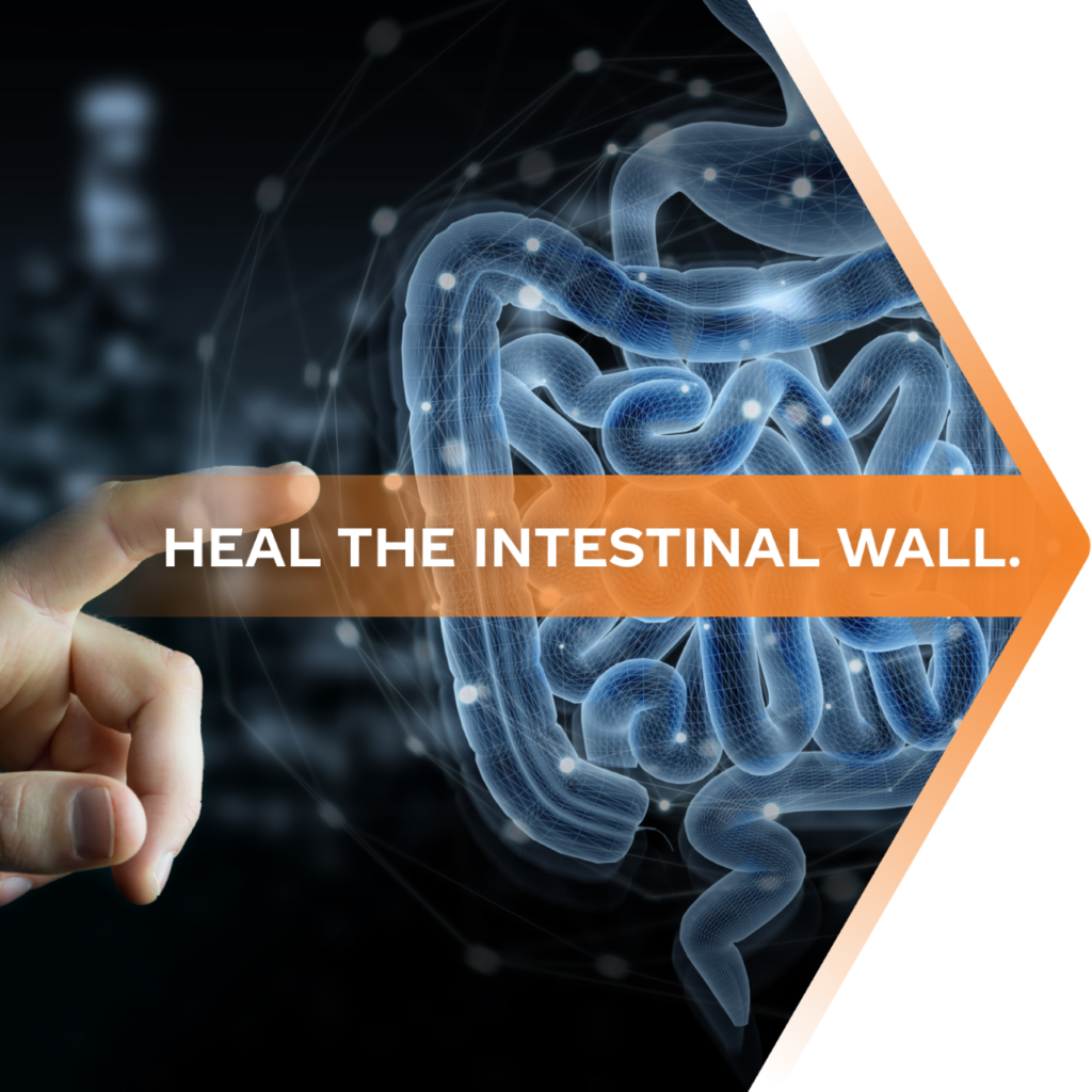 BioMatrix Leaky Gut-X - Intestinal Repair Supplement